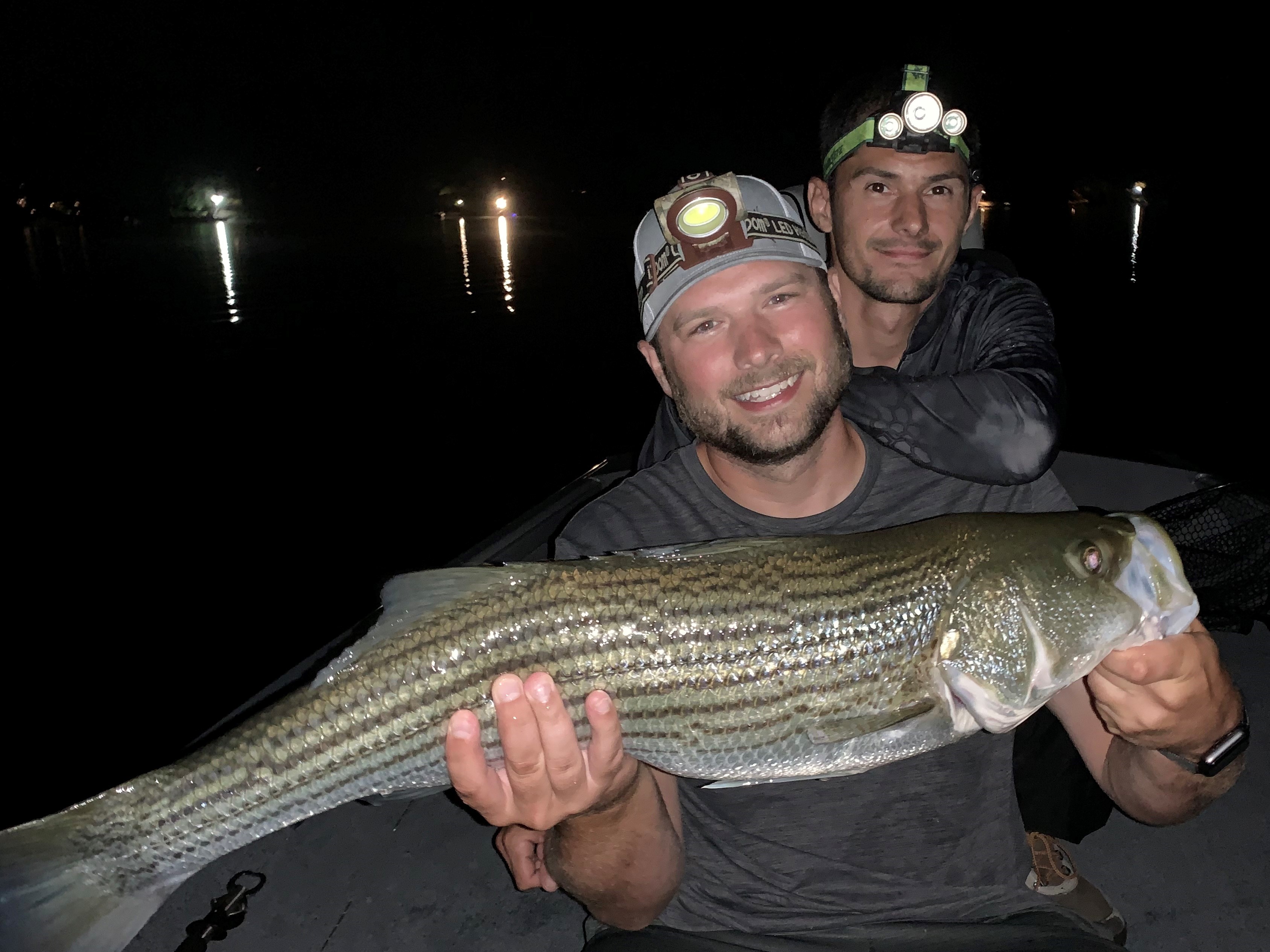 Will Hazimof & Lake Monsters – Wally BITES, LLC.